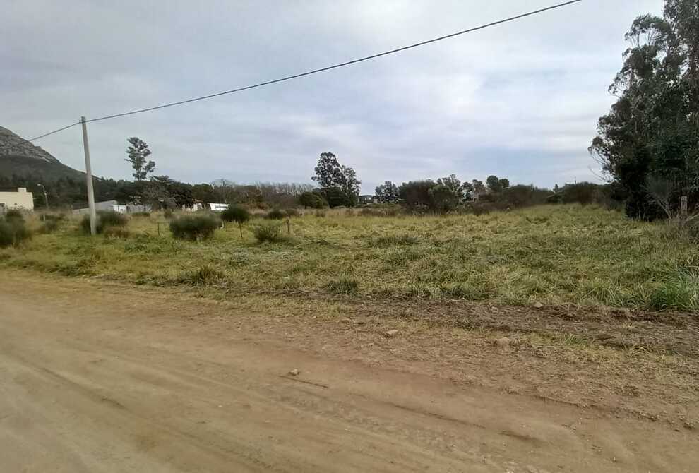 Noticias | Subasta municipal: se vendieron dos lotes | Diario La Vanguardia