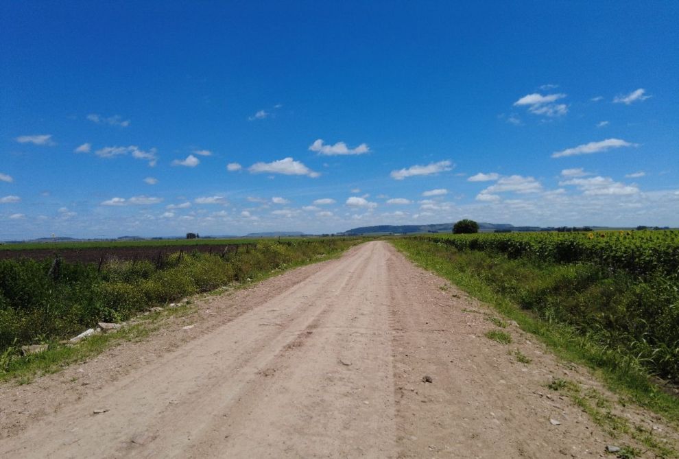 Ruta 77 y acceso a La Delia: mejoran caminos de la red vial tras las ...