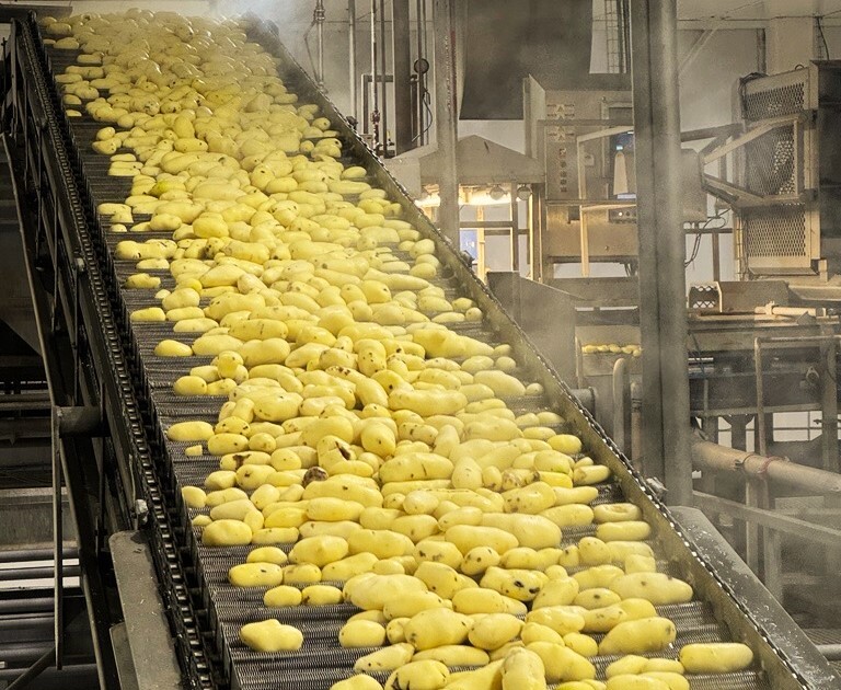 De Balcarce al país y el mundo: 2 de cada 3 papas prefritas congeladas ...